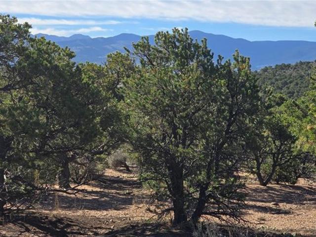 Shinn Rd Lot 3873, Fort Garland, CO 81133