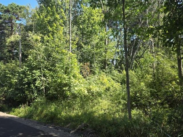 Shircel Rd, Wilson, WI 53081