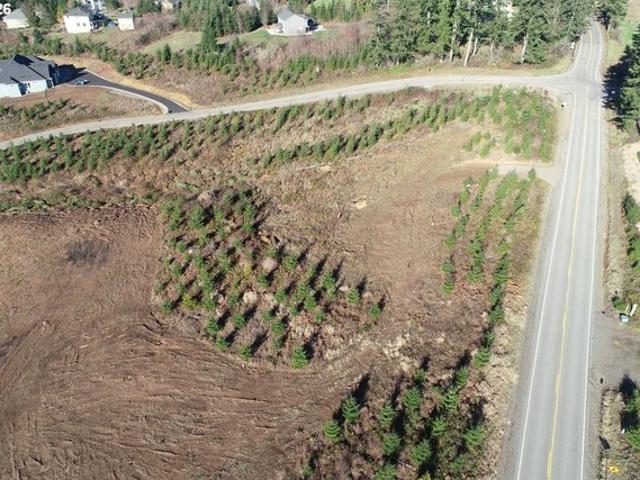 Shirley Gordon Rd Unit B, Kalama, WA 98625