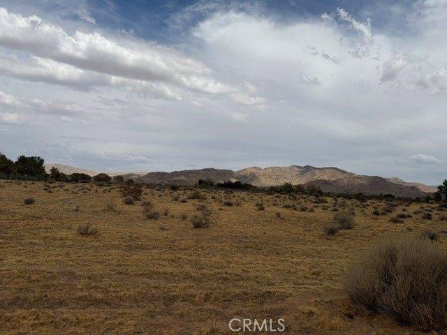 Shirwan, Apple Valley, CA 92307