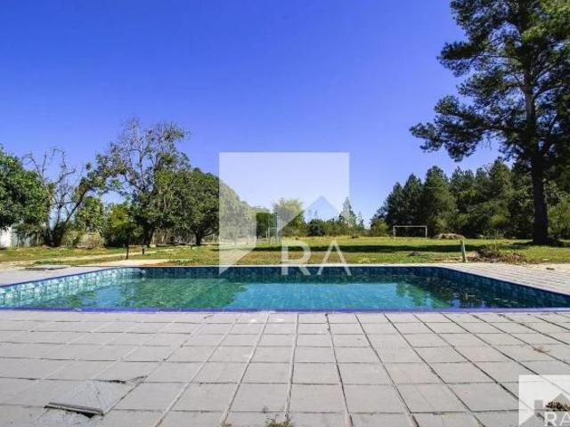 SHIS QL 20 PONTA DE PICOLÉ 36.000 M2