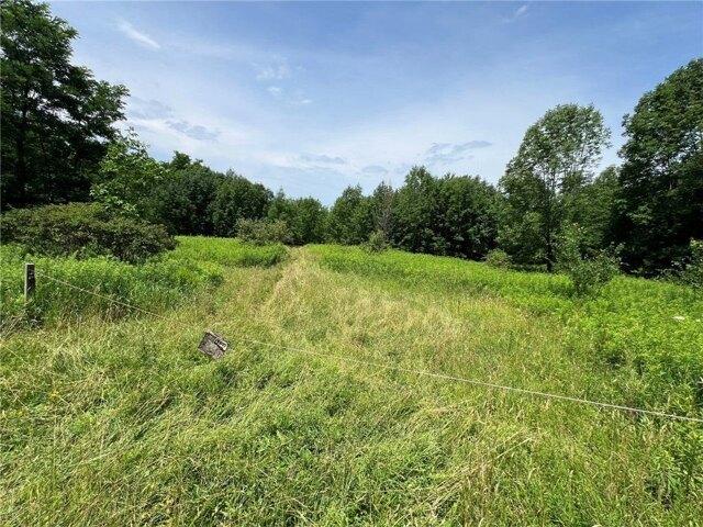 Shute Rd, Nunda, Plot For Sale