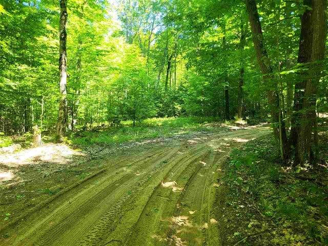 Shumaker Rd, Bellaire, MI 49659