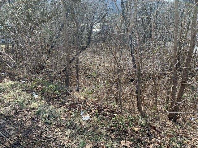 Shumate Ave, Rich Creek, Plot For Sale