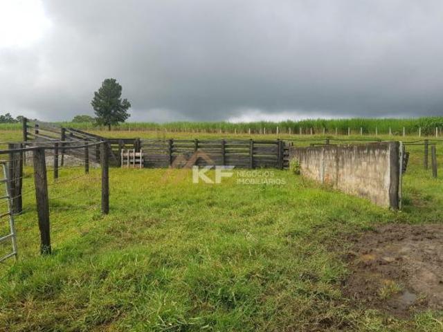 Sítio à venda Cajuru SP