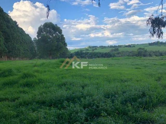 Sítio à venda na Região de Ribeirão Preto