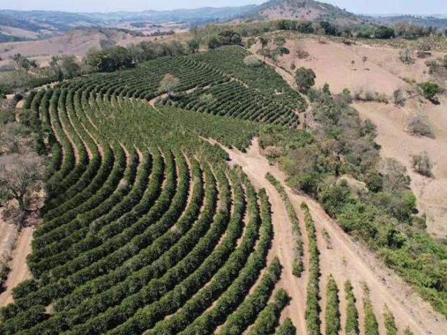 Sítio de 20 alqueires em Bandeira do Sul MG com 5 alqueires em café NJ1