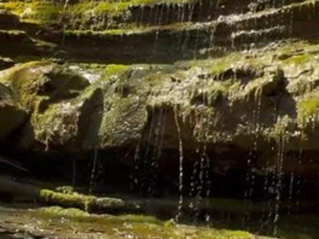 Simmons Ct, Ashland City, TN 37015