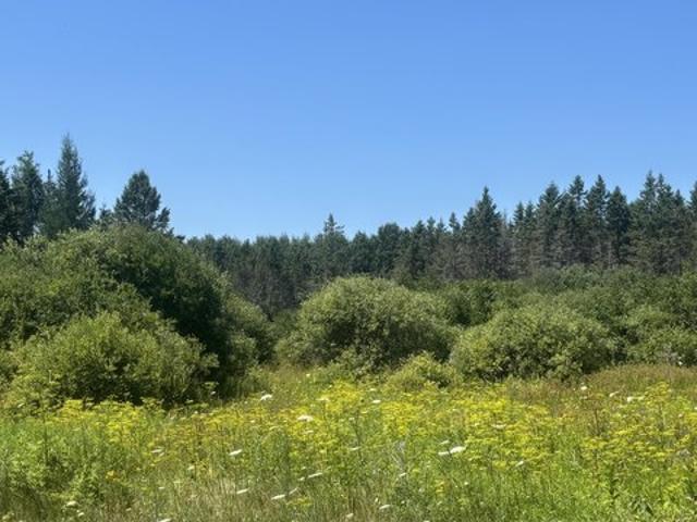 Simmons Rd, Hessel, MI 49745