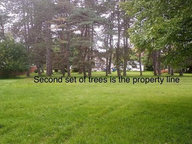 Simons St, Coleman, MI 48618