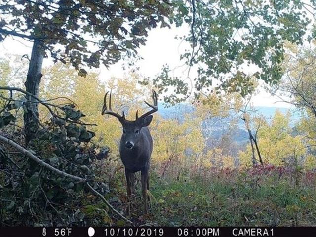 Simons Rd, Alma, WI 54610