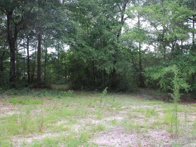 Simpson, Defuniak Springs, FL 32433