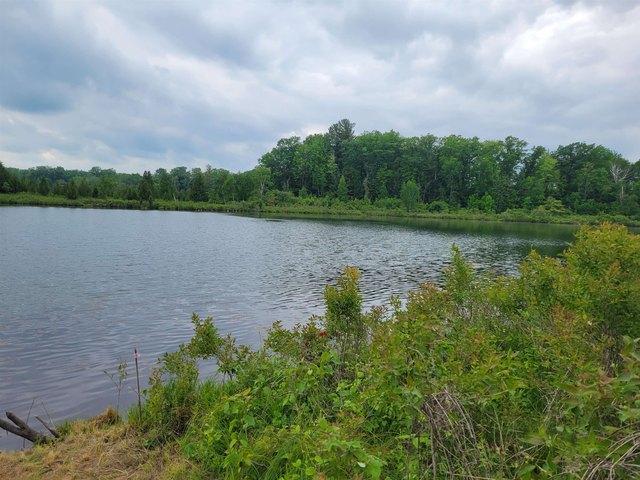 Simpson Parcel 2, Harrison, MI 48625