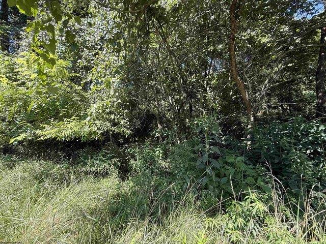 Simpson Rd, Flemington, WV 26347