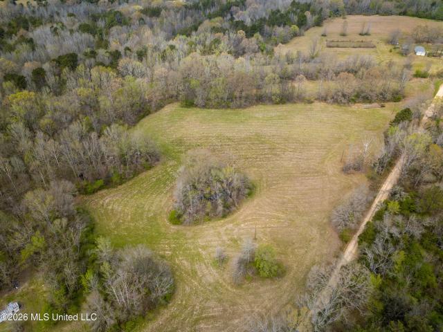 Simpson Road, Pickens, MS 39146