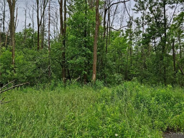 Sims Ln, Cazenovia, NY 13035 | MLS #S1617 | Compass