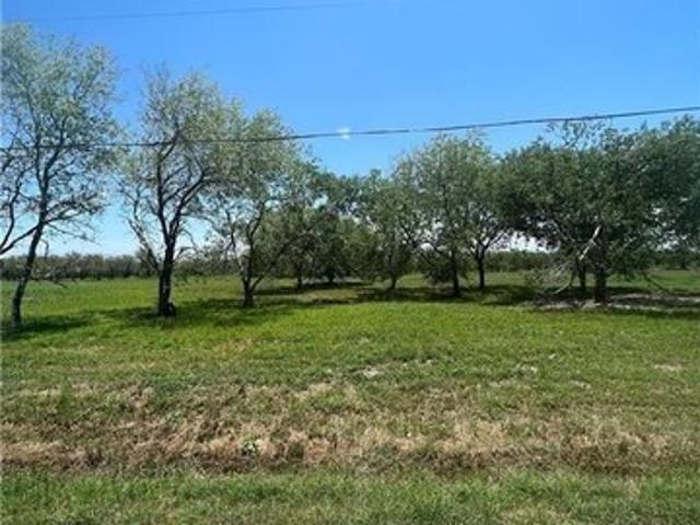 Sinton, TX 78387