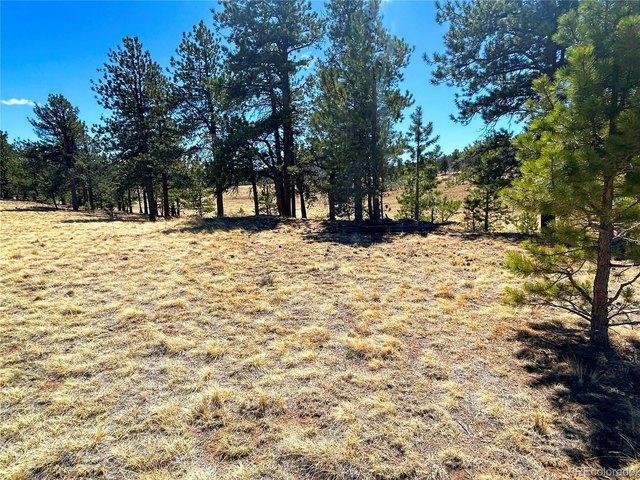 Singletree Rd Lot 51, Buena Vista, CO 81211