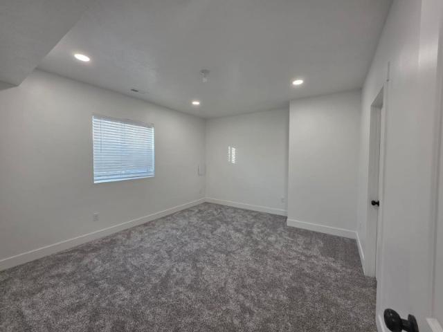 Single Bedroom Basement for Rent_Mountain Ridge Co