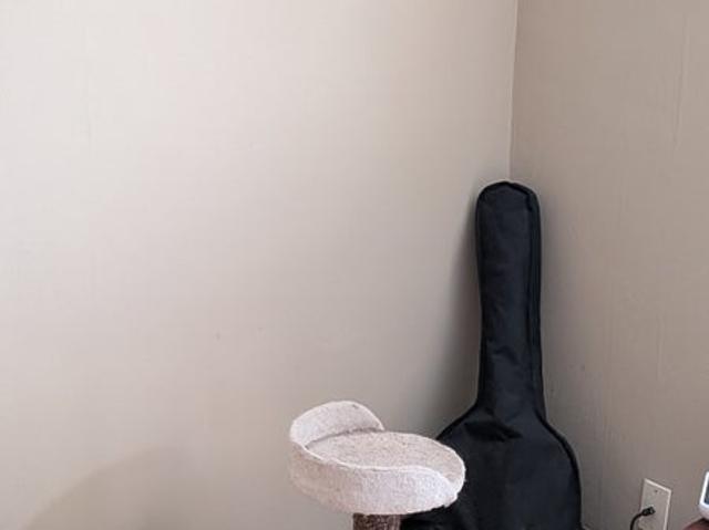 Single girl looking for roommate