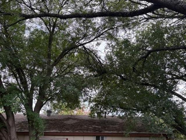 Single Family: MLS #4250