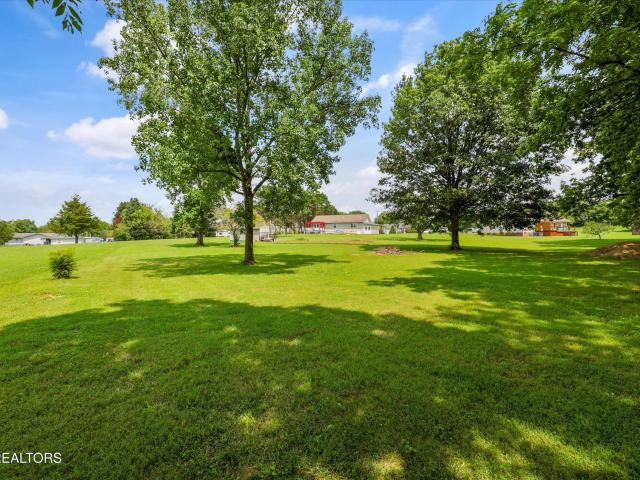 Single Family: MLS #1350
