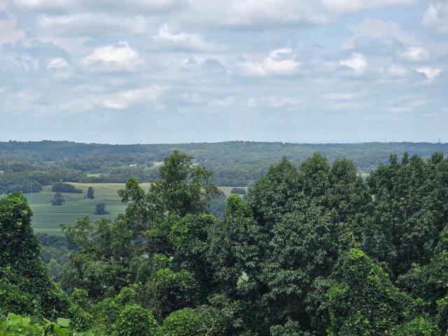 Single Family: MLS #1540