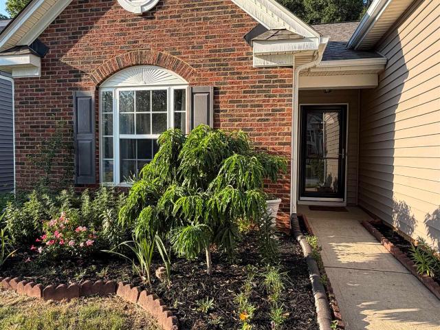 Single Family: MLS #1594