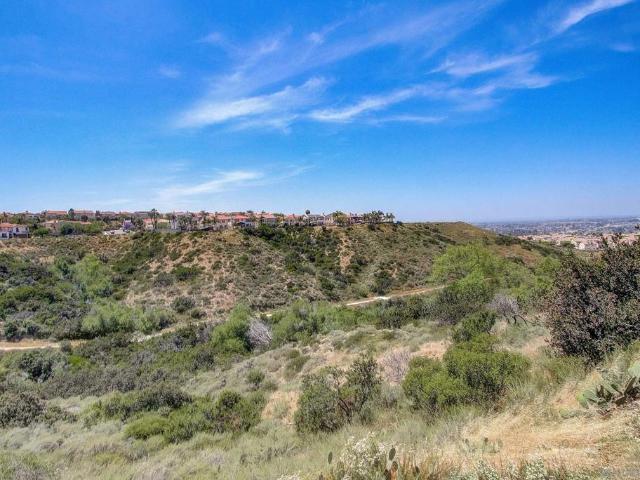 Single Family: MLS #260017 SD