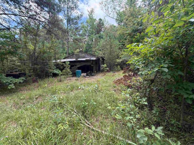 Single Family: MLS #26025
