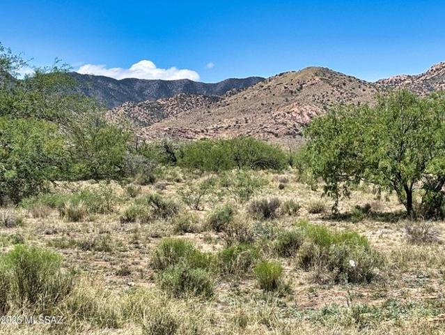 Single Lot Zinnia St Unit 5, Pearce, AZ 85625