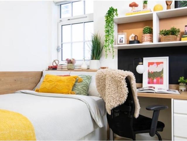 Single Shared Studio: Two Bed Room