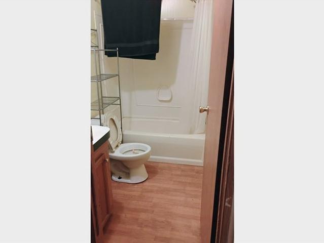 Single Room in 1 bed house in Conway