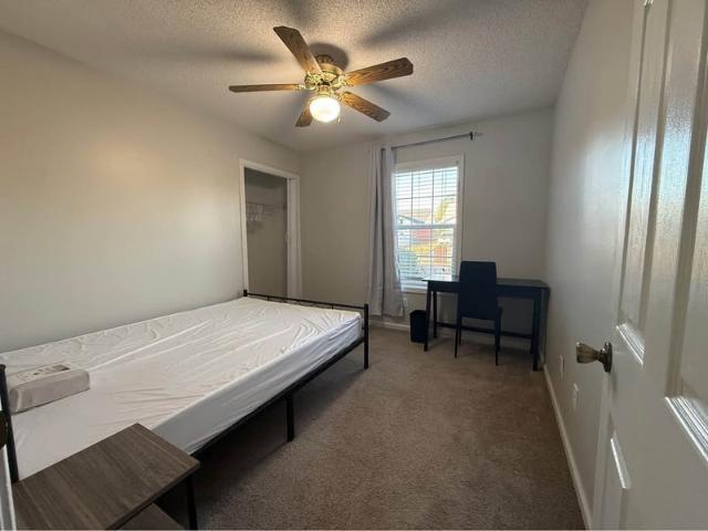 Single Room in 1 bed house in Enterprise