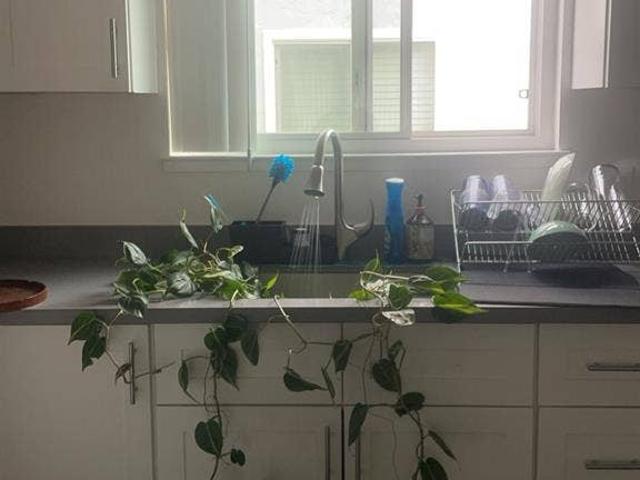 Single Room in Shared Apartment