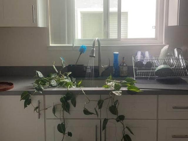 Single Room in Shared Apartment