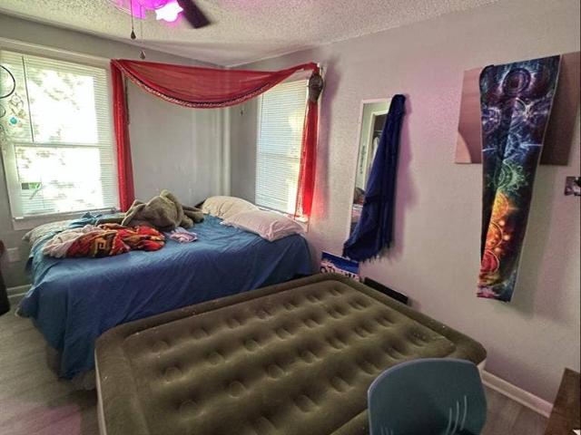 Single woman looking for roomate