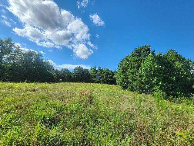 Sinking Creek Rd, Linden, TN 37096