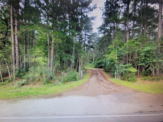 Sioux Dr, Hempstead, TX 77445