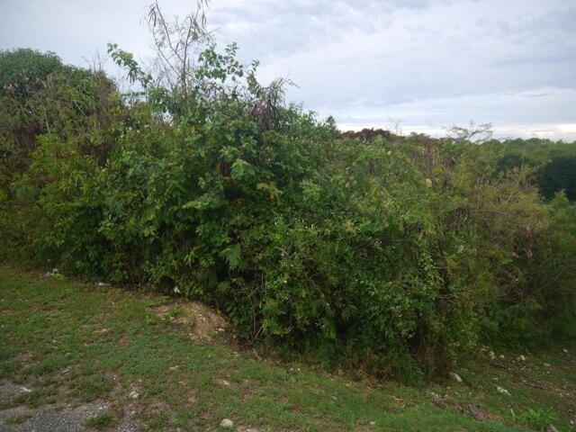Sion Farm Qu, Saint Croix, Plot For Sale
