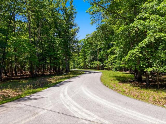Sideling Mountain Trail Lot 64 And 65