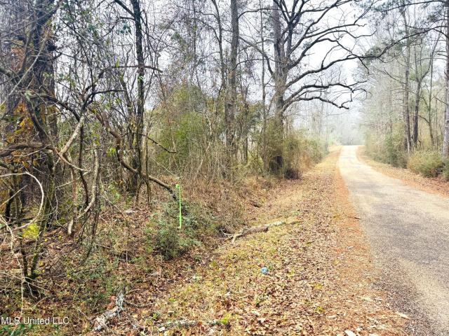 Sidney Ellzey Road, Tylertown, MS 39667