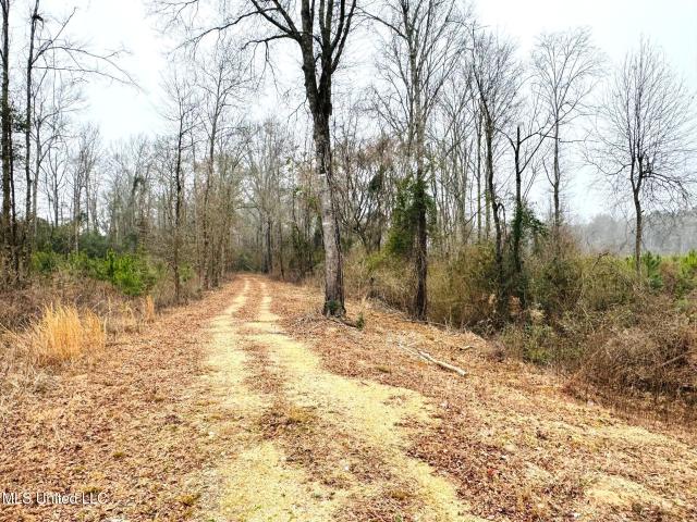 Sidney Ellzey Road, Tylertown, MS 39667