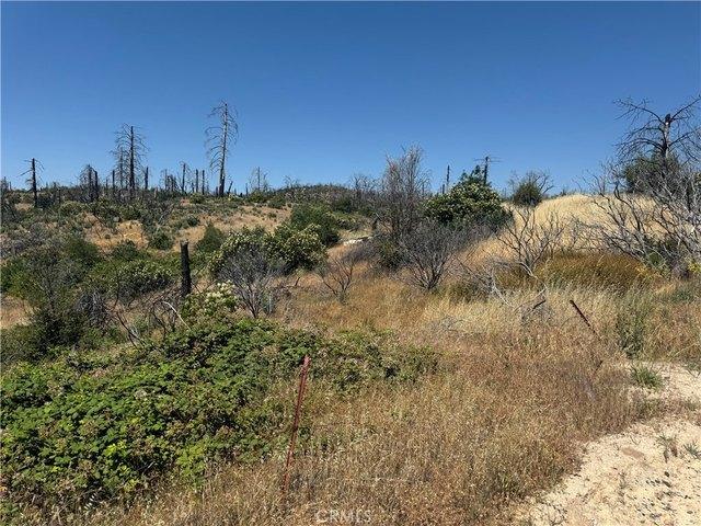 Sierra Vw, Berry Creek, CA 95916