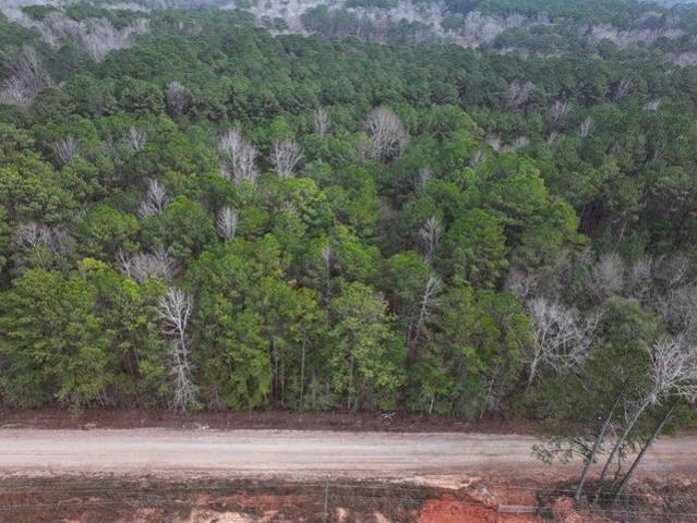 Silva Dr Lot 3, Hamilton, GA 31811