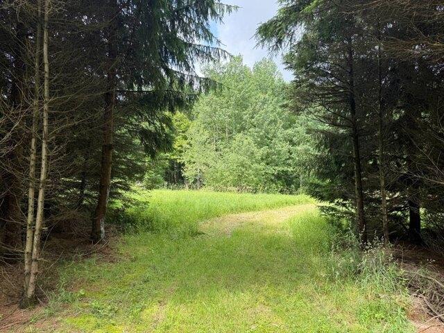 Silverthorn Rd, Edinboro, Plot For Sale