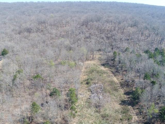 Silverwood Rd, Prairie Grove, AR 72753