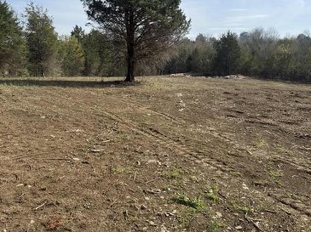 Silver City Rd, Whitesburg, TN 37891