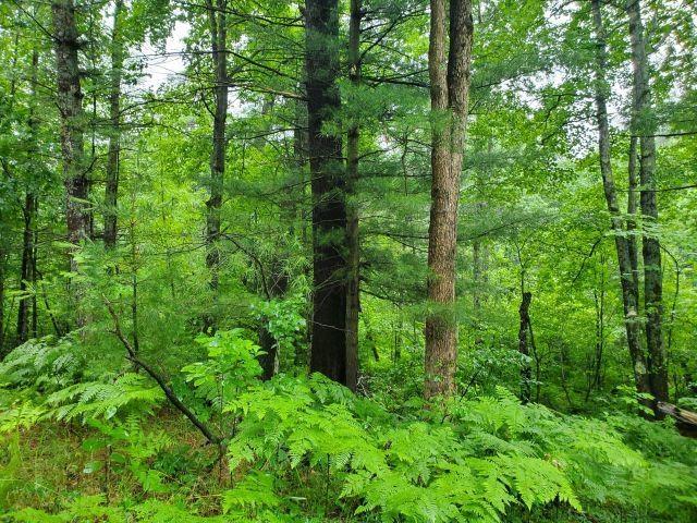 Silver Creek Road # Lots 79 AND 80, Silver Creek Road Lot: 79 80
