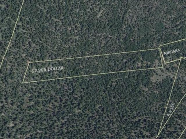Silver Dollar Lode, Georgetown, CO 80444